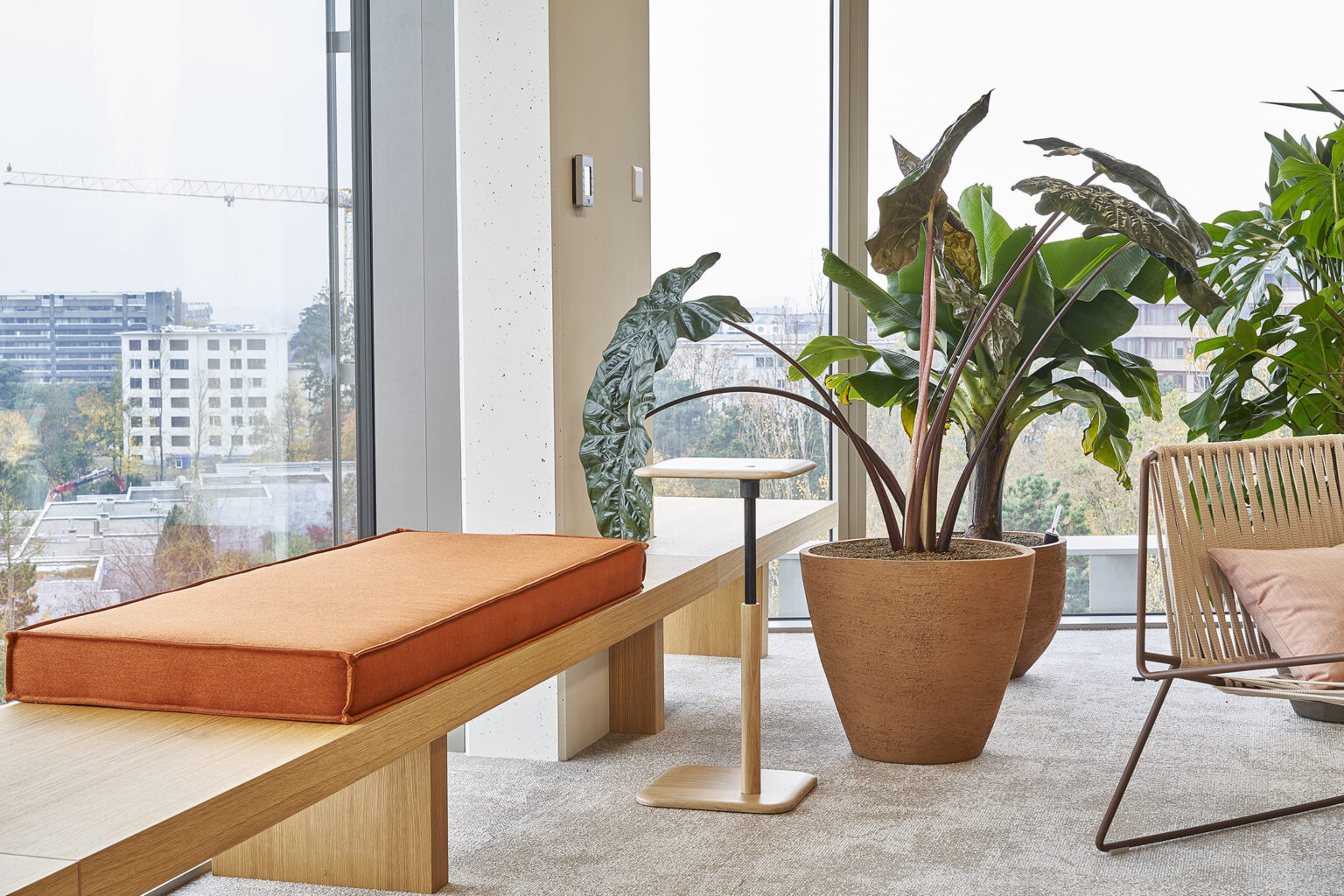 GAVI - Bloomint Design