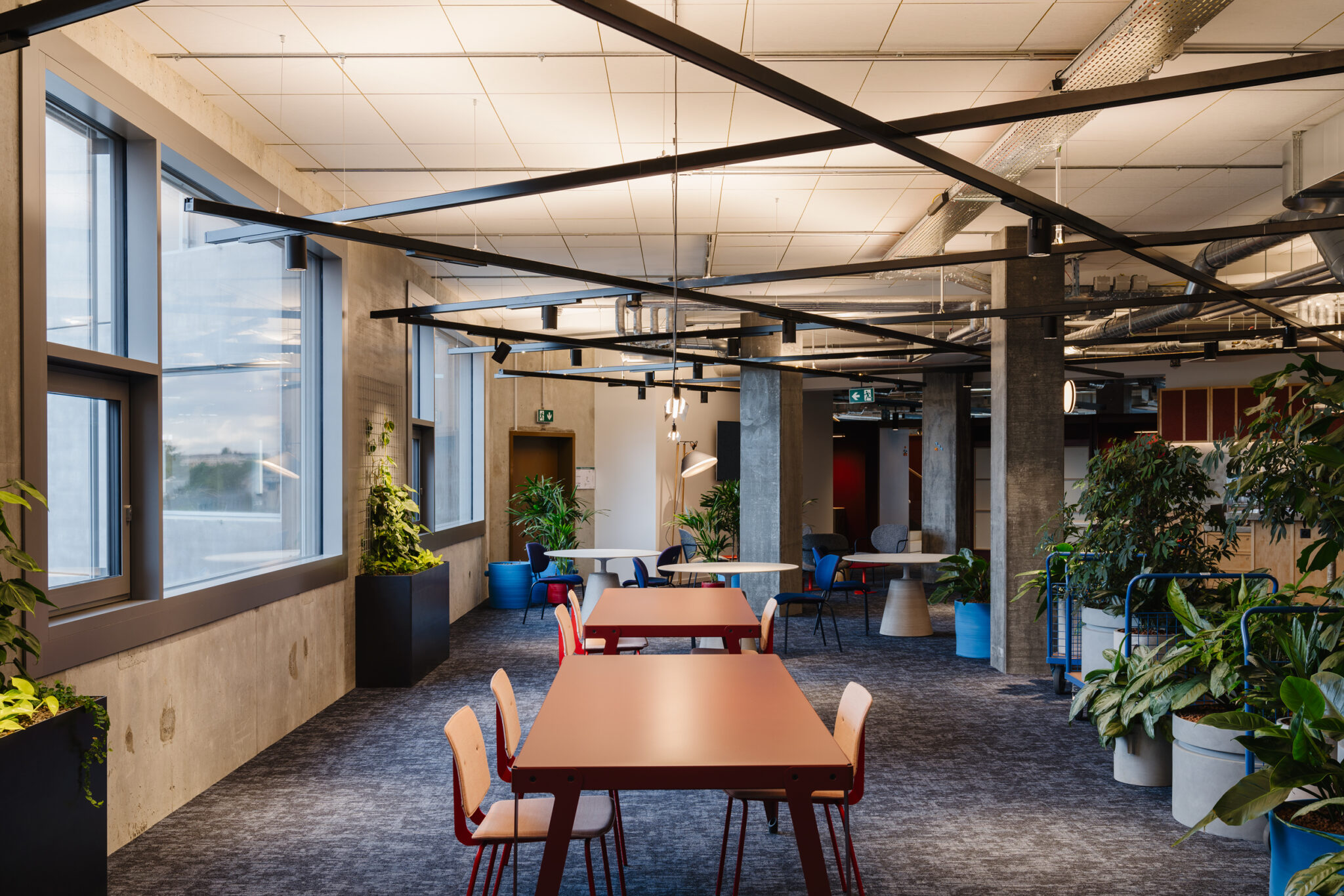 Tech Center - Bloomint Design